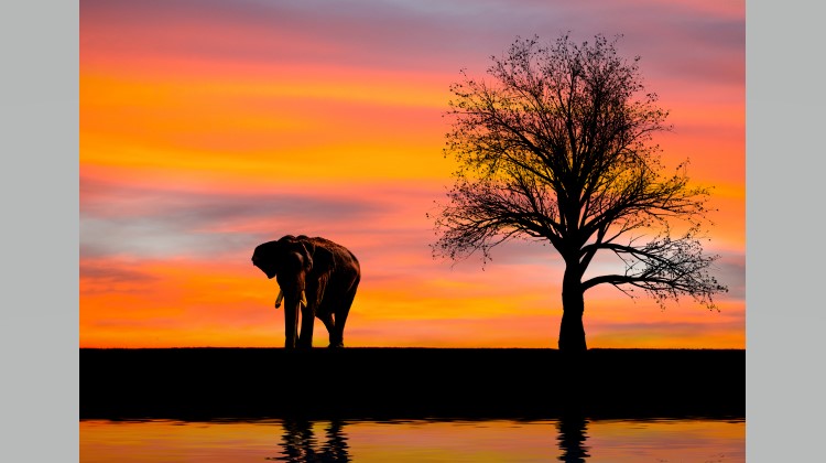Btree Vs Brin Index In Postgresql Data Warehouses